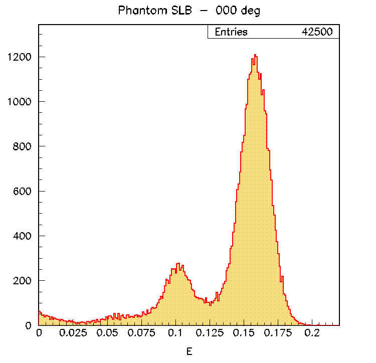 GEANT4/GATE Generated SPECT Phantoms